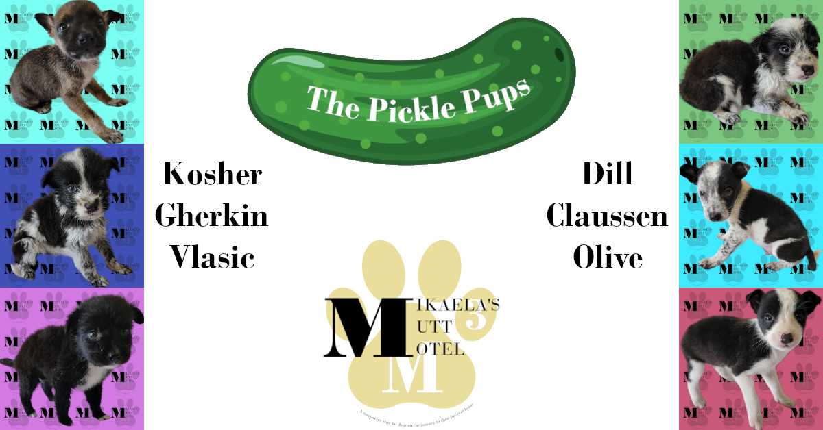 Pickle Pups - Mikaela's Mutt Motel